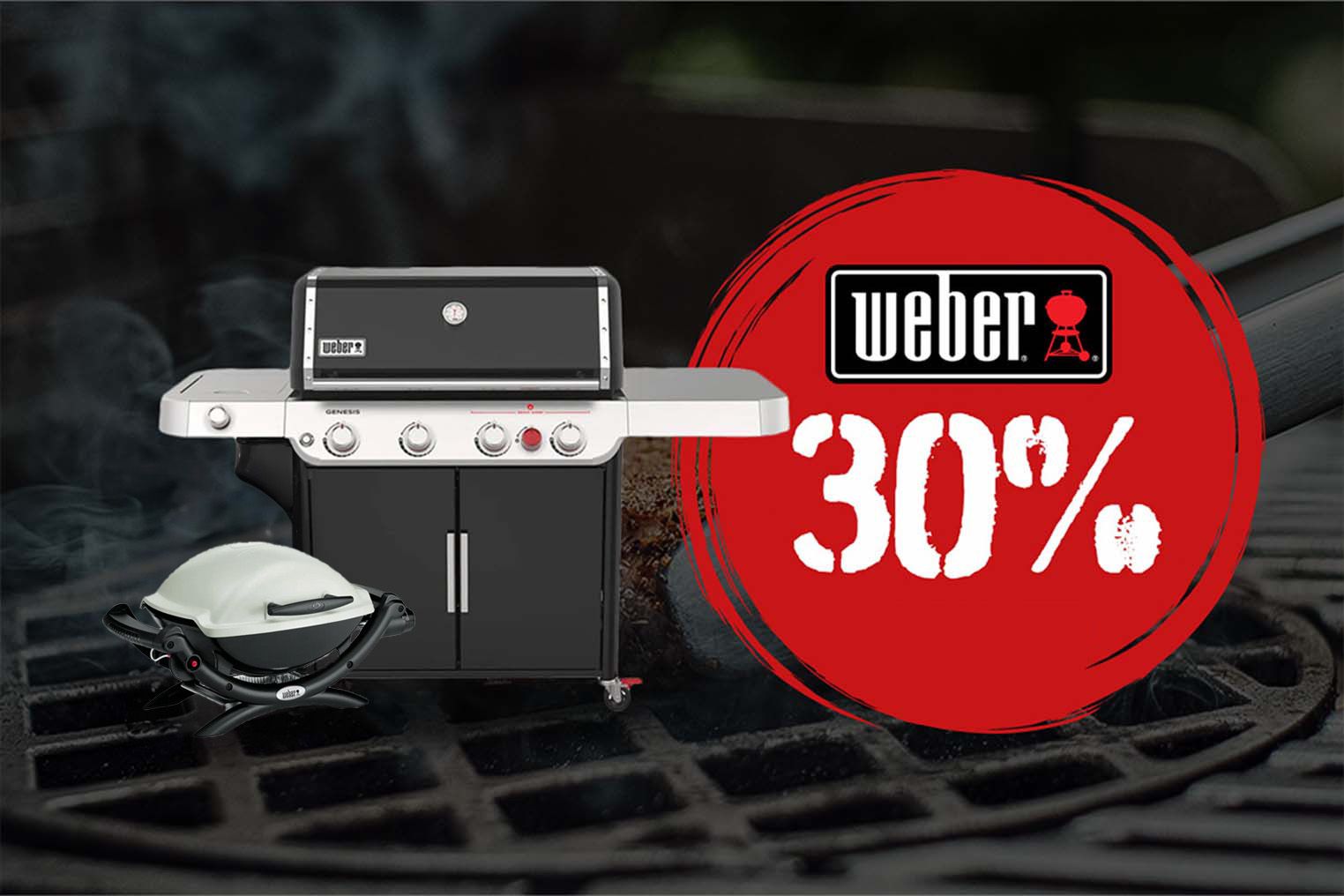 Grills, Grillzubehör & Grillkurse | SANTOS Grills